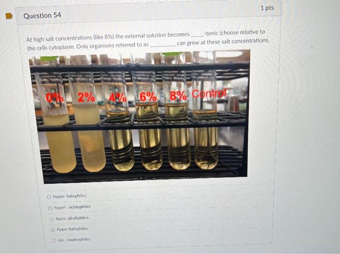 Solved At high salt concentrations (like 8% ) the external | Chegg.com