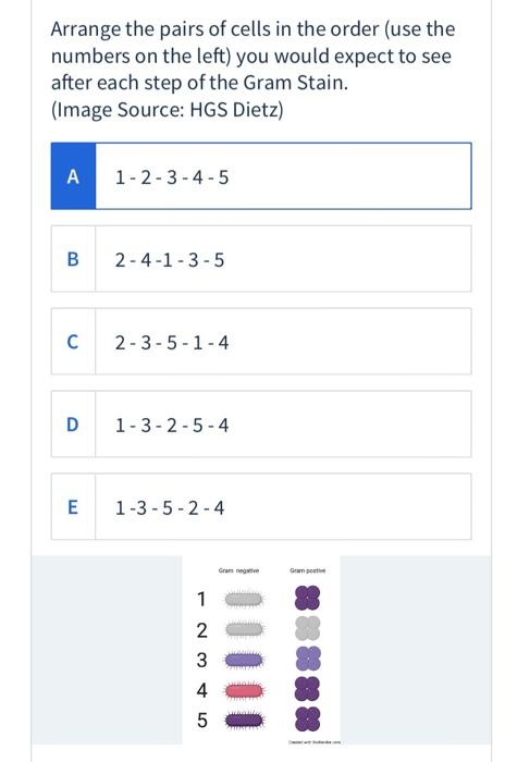 Solved Arrange the pairs of cells in the order (use the | Chegg.com