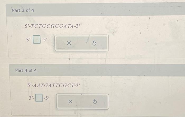 Solved Write the complementary strand for each of the | Chegg.com