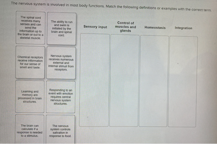 The nervous system is involved in most body | Chegg.com