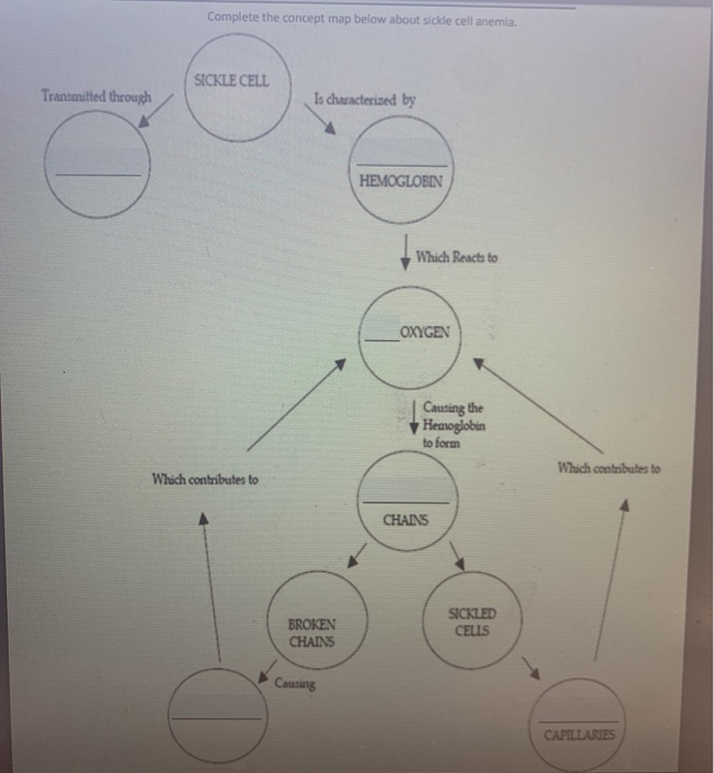 Solved Complete the concept map below about sickle cell | Chegg.com