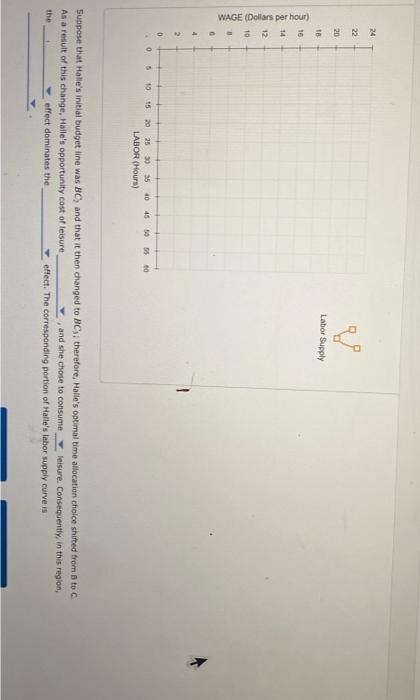 11. The backward-sloping labor supply curve Halle has | Chegg.com