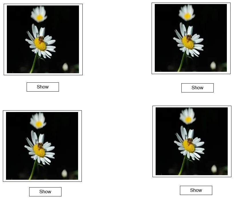 Create an HTML code for this; default images will | Chegg.com