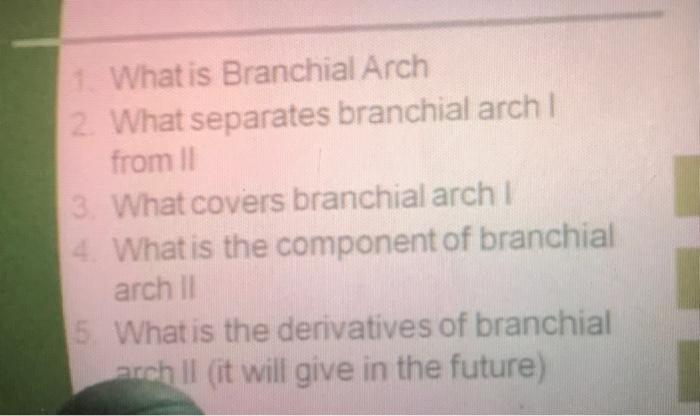 Solved 1 What is Branchial Arch 2. What separates branchial | Chegg.com
