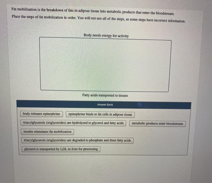Solved Fat mobilization is the breakdown of fats in adipose | Chegg.com