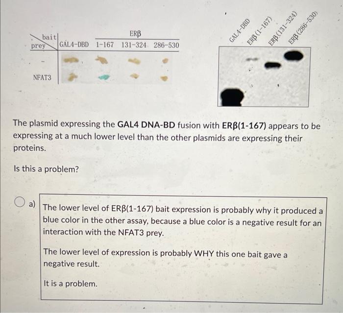 Solved The Plasmid Expressing The Gal4 Dna Bd Fusion With Er