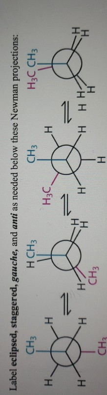 Solved H H Label eclipsed, staggered, gauche, and anti as | Chegg.com
