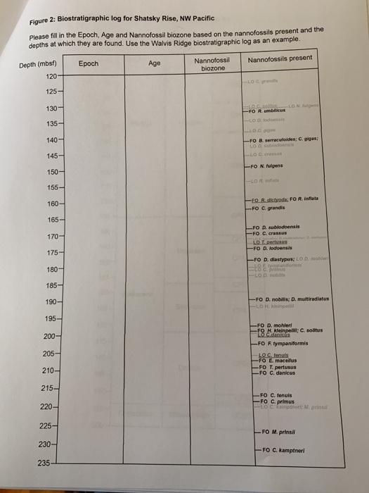 Exercise 3: Constructing a biostratigraphic log using | Chegg.com