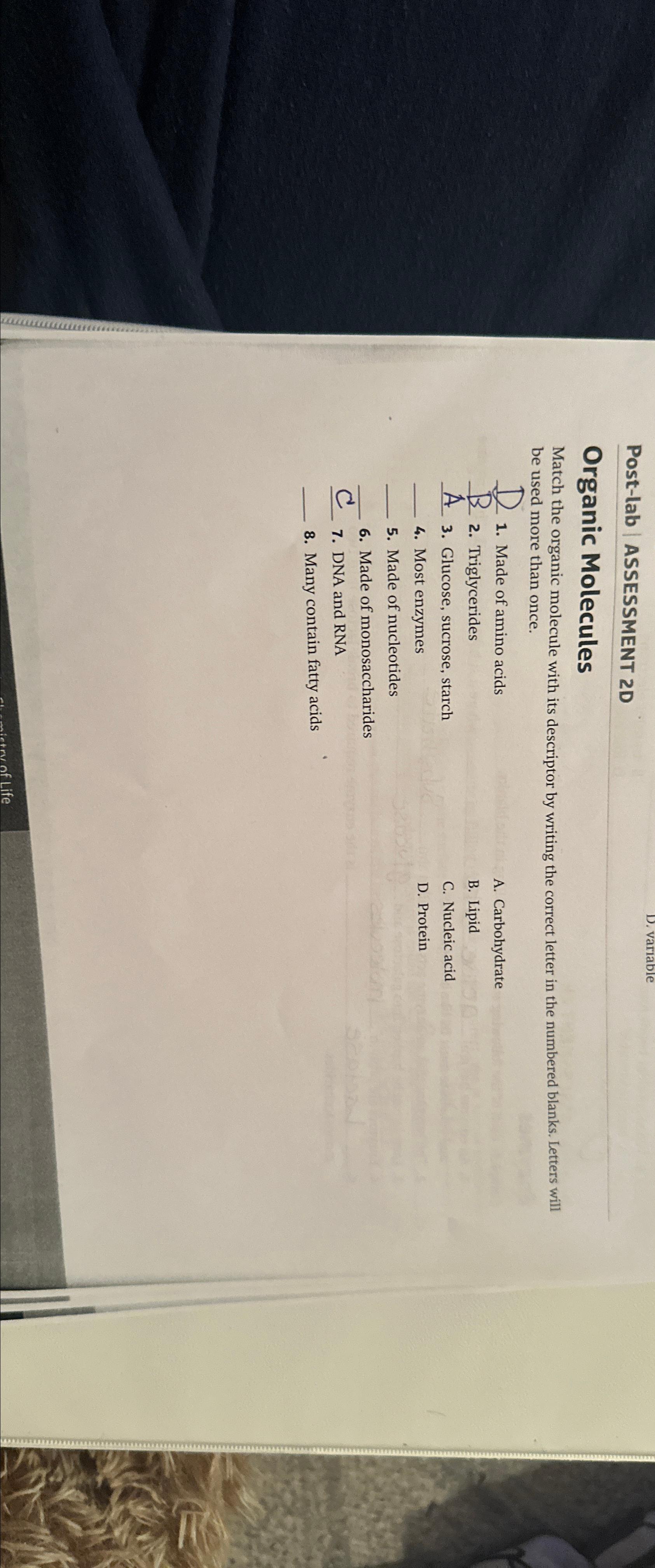 Solved Post-lab | ﻿ASSESSMENT 2DOrganic MoleculesMatch the | Chegg.com