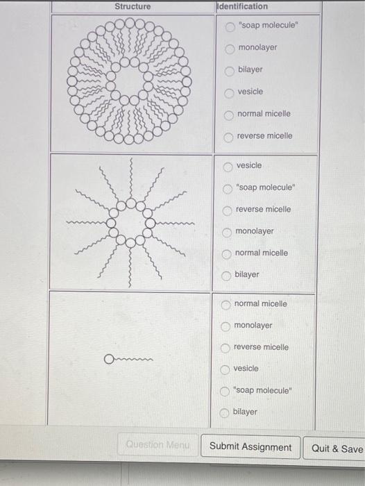 Solved Structure Identification "soap molecule" monolayer | Chegg.com