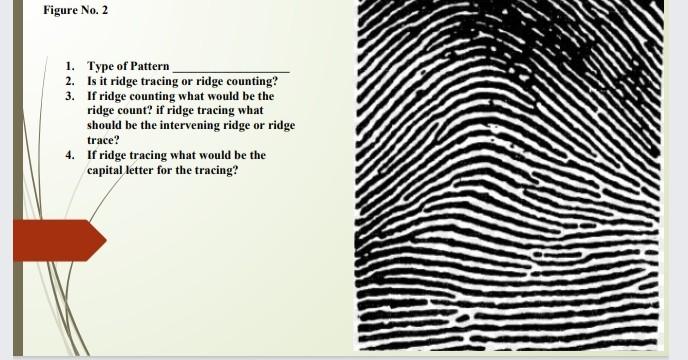1. Type of Pattern 2. Is it ridge tracing or ridge | Chegg.com