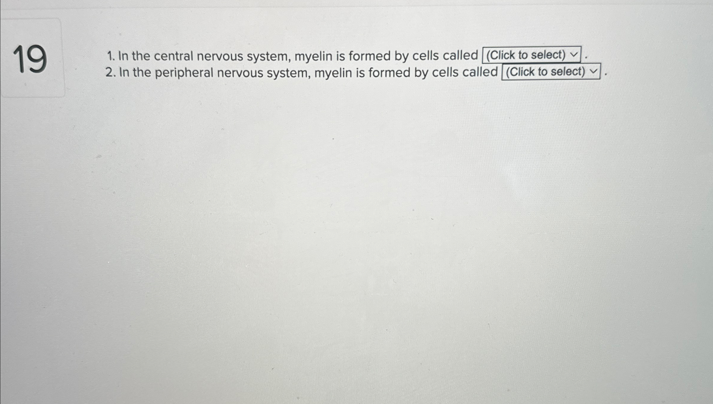 Solved 19In the central nervous system, myelin is formed by | Chegg.com