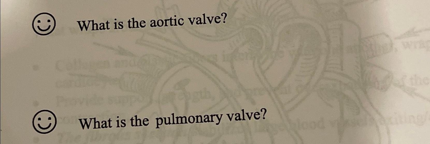 Solved What is the aortic valve?What is the pulmonary valve? | Chegg.com