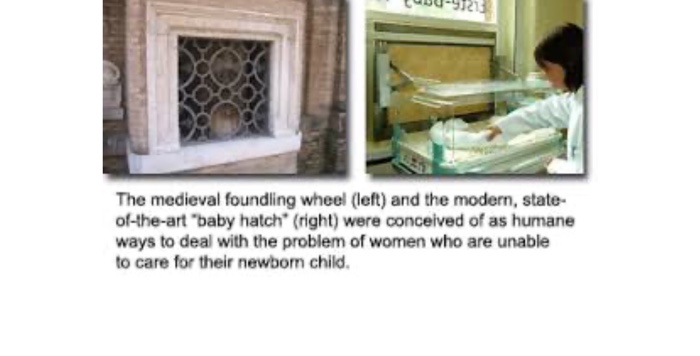 write your reflective response to the fact that | Chegg.com