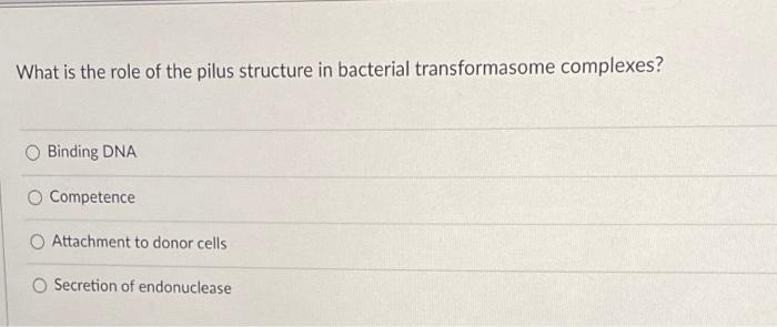 Solved What is the role of the pilus structure in bacterial | Chegg.com