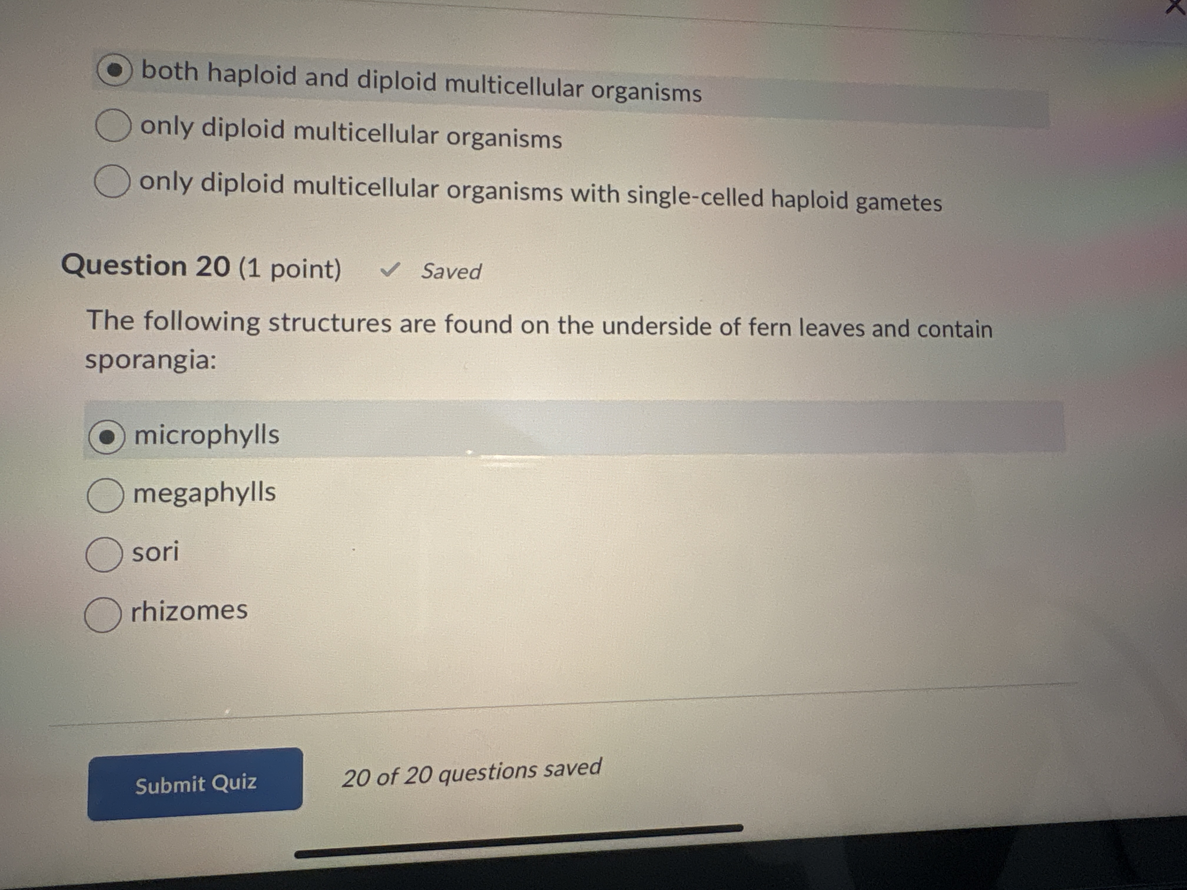 Solved both haploid and diploid multicellular organismsonly | Chegg.com