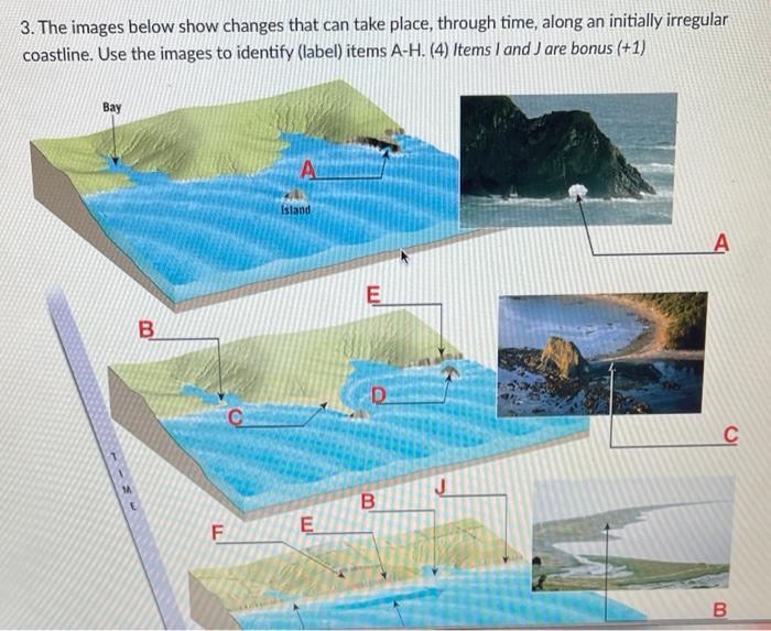 Solved 2. Use an arrow to indicate the location and | Chegg.com