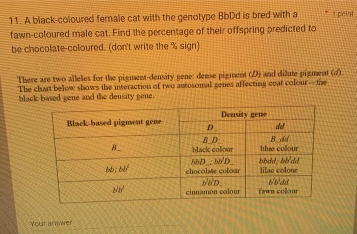 Solved 11. A black-coloured female cat with the genotype | Chegg.com