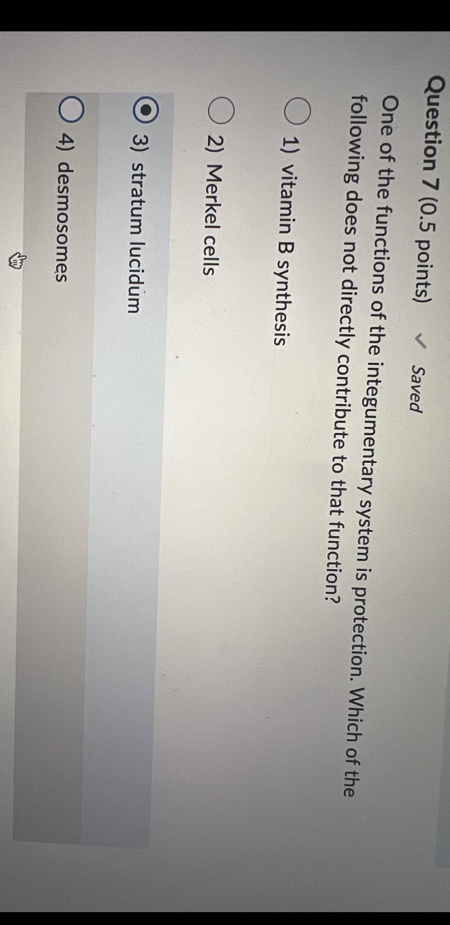 Solved Question 7 ( 0.5 ﻿points) ﻿SavedOne of the functions | Chegg.com