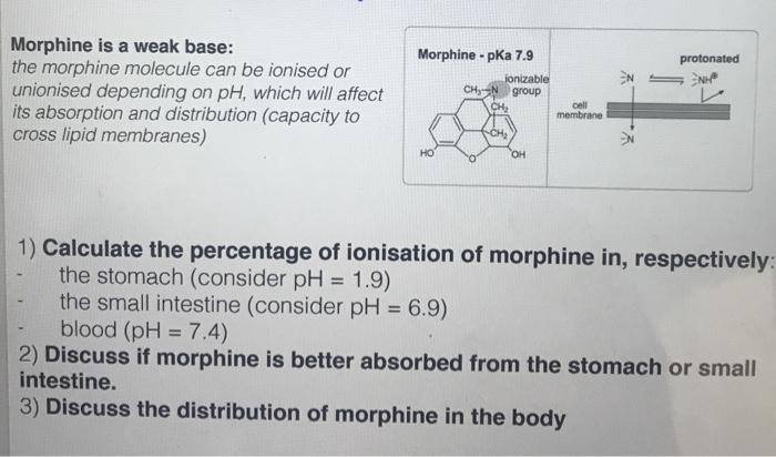 Solved Morphine is a weak base: the morphine molecule can be | Chegg.com