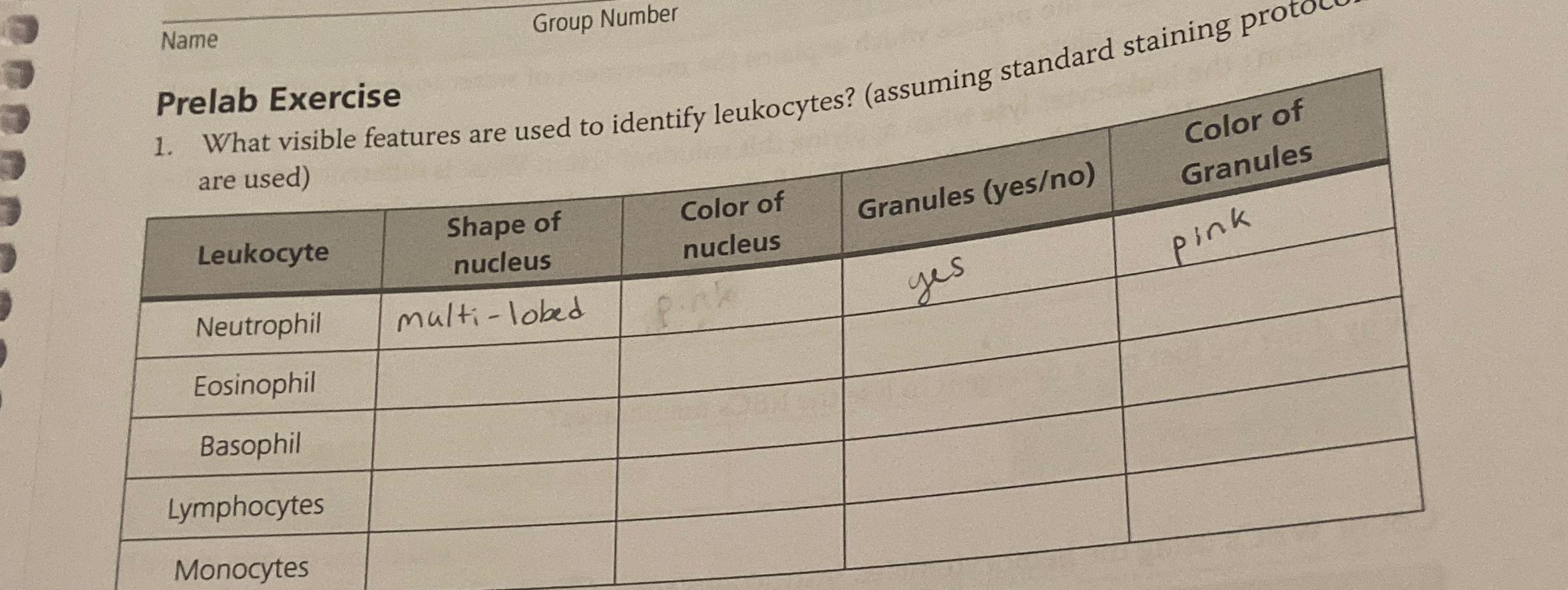 Solved NameGroup NumberPrelab ExerciseWhat visible features | Chegg.com