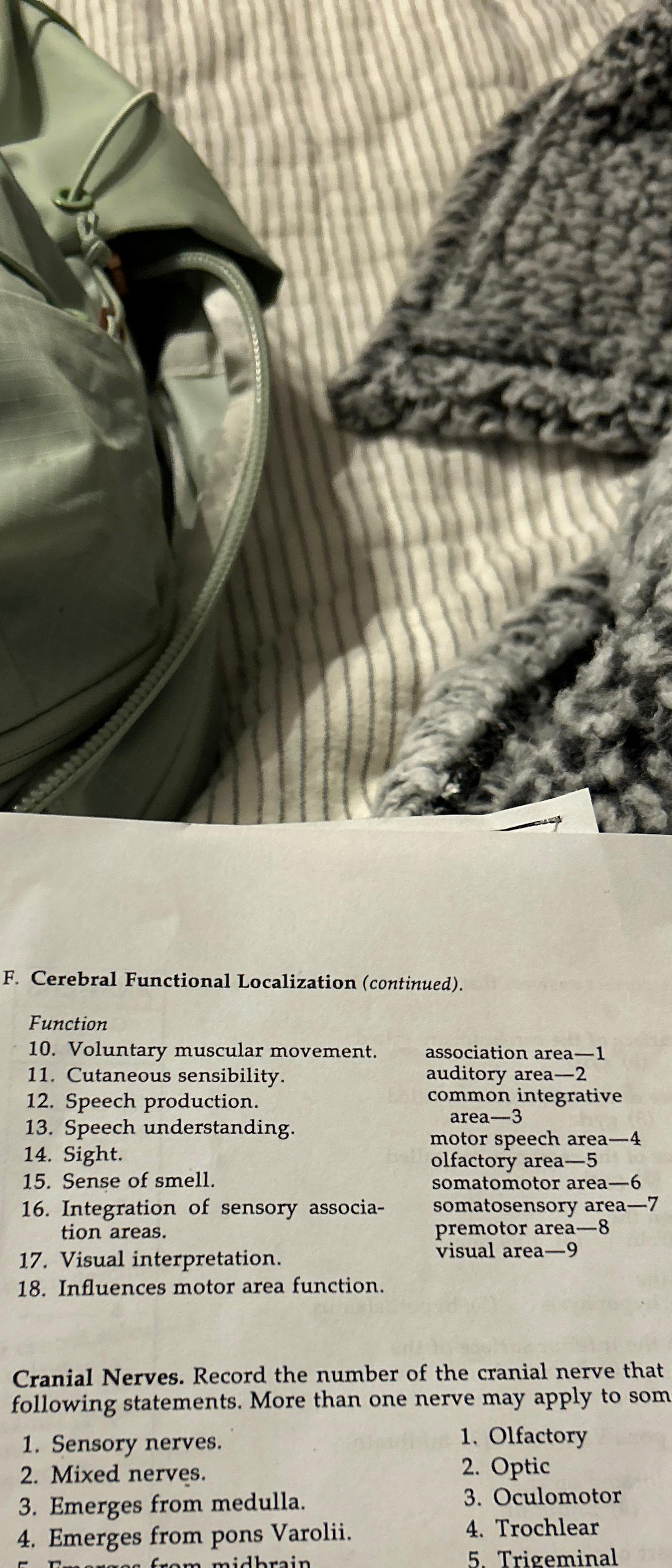Solved F ﻿cerebral Functional Localization