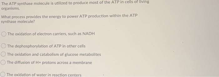 Solved The ATP synthase molecule is utilized to produce most | Chegg.com