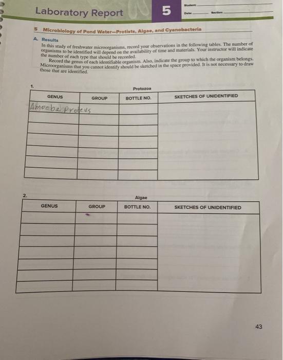 Solved Laboratory Report U1 A. Results 5 Microbiology of | Chegg.com