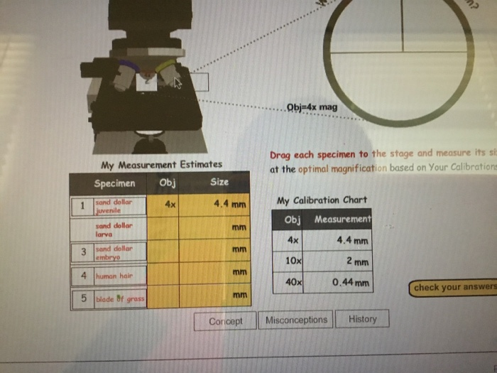 ¿ Obj= 4x mag My Measurement Estimates Specimen Obj | Chegg.com