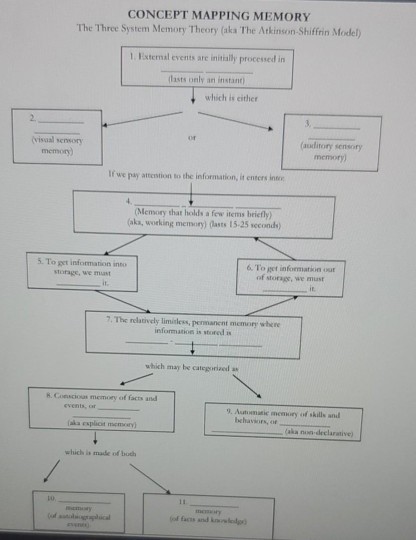 Solved CONCEPT MAPPING MEMORY The Three System Memory Theory | Chegg.com