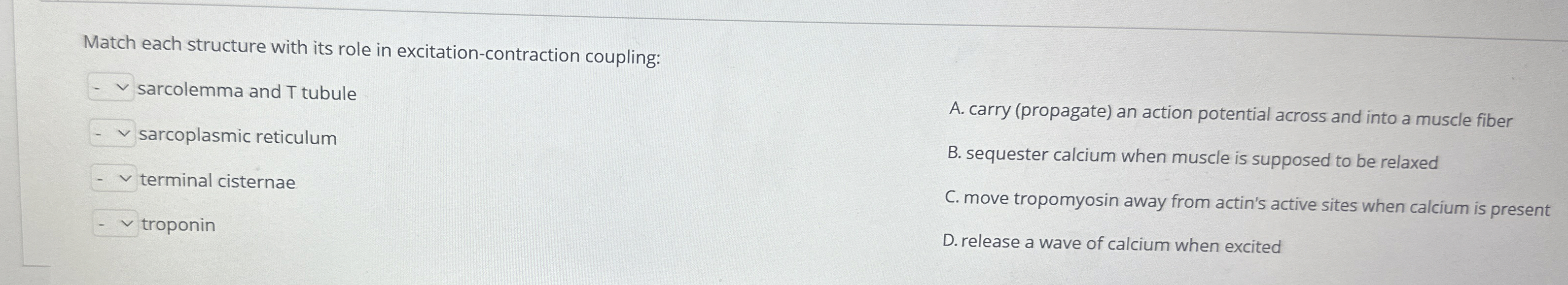 Solved Match each structure with its role in | Chegg.com