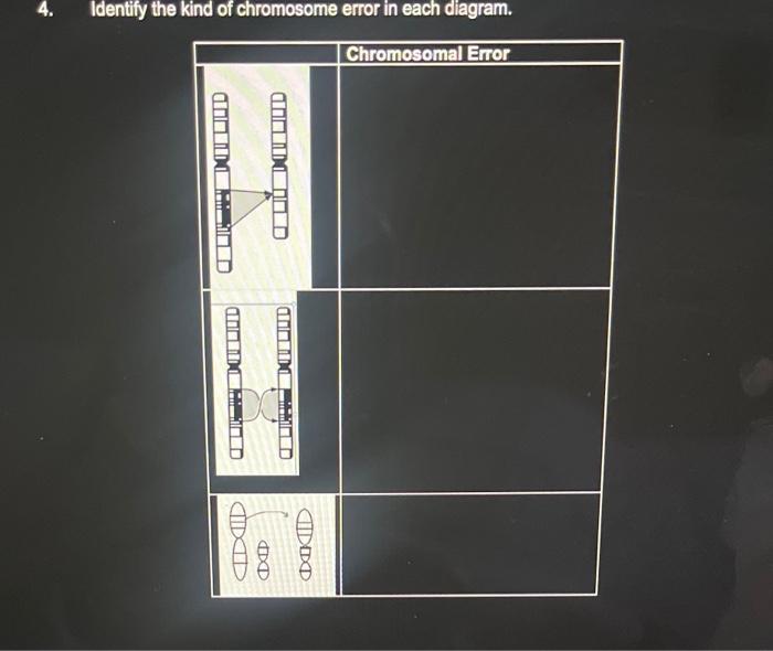 Solved Identify the kind of chromosome error in each | Chegg.com