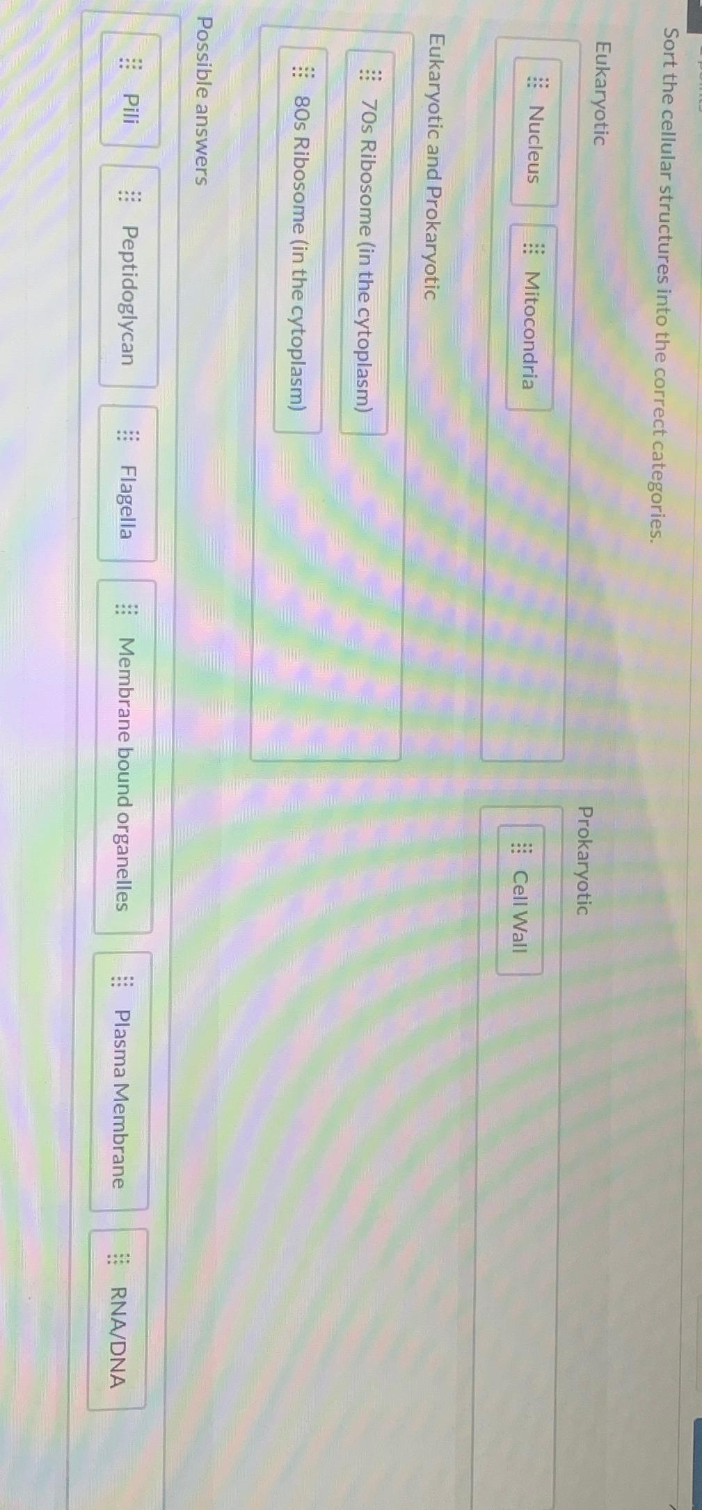 Solved Sort the cellular structures into the correct | Chegg.com