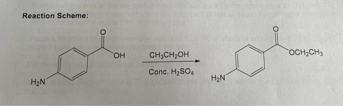 Solved Reaction Scheme: OH CH3CH2OH OCH2CH3 Conc. H2SO4 H2N | Chegg.com