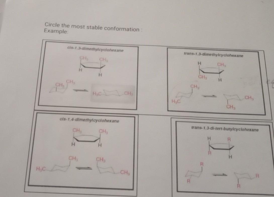 Solved Circle the most stable conformation | Chegg.com
