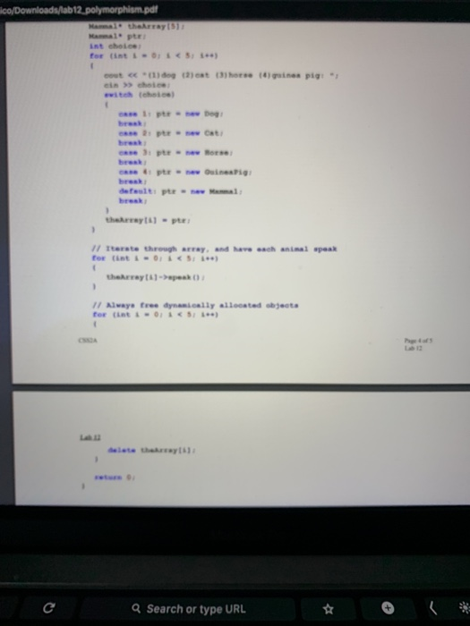 Solved ab 12 x Slab12_polymorphism.pdf X + | Chegg.com
