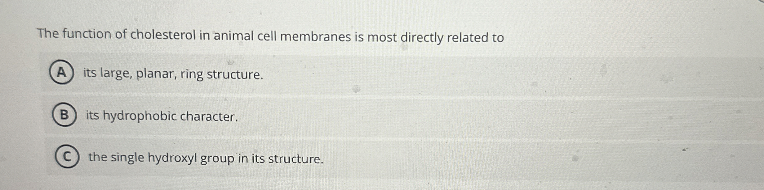 Solved The function of cholesterol in animal cell membranes | Chegg.com