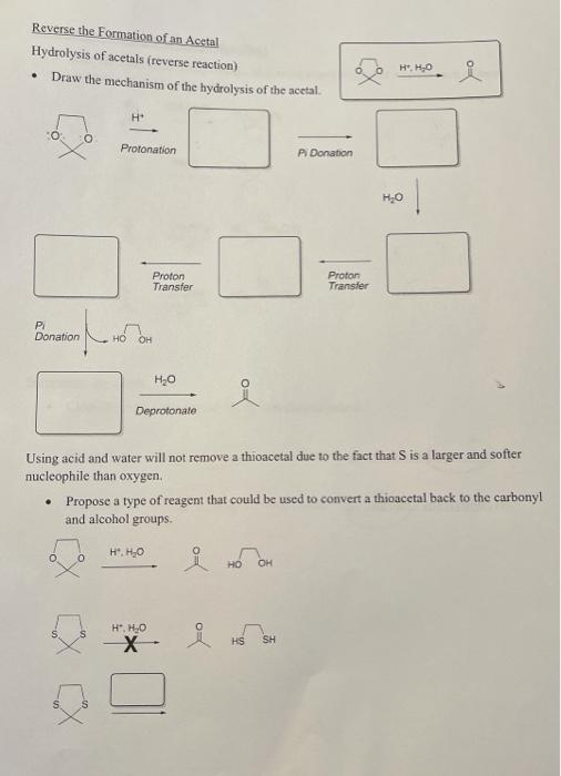 Solved Reverse the Formation of an Acetal Hydrolysis of | Chegg.com