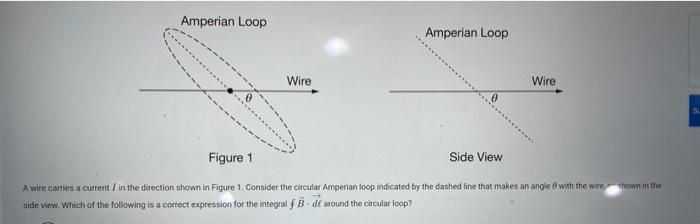 Solved Amperian Loop Amperian Loop Wire Wire Figure 1 Side | Chegg.com