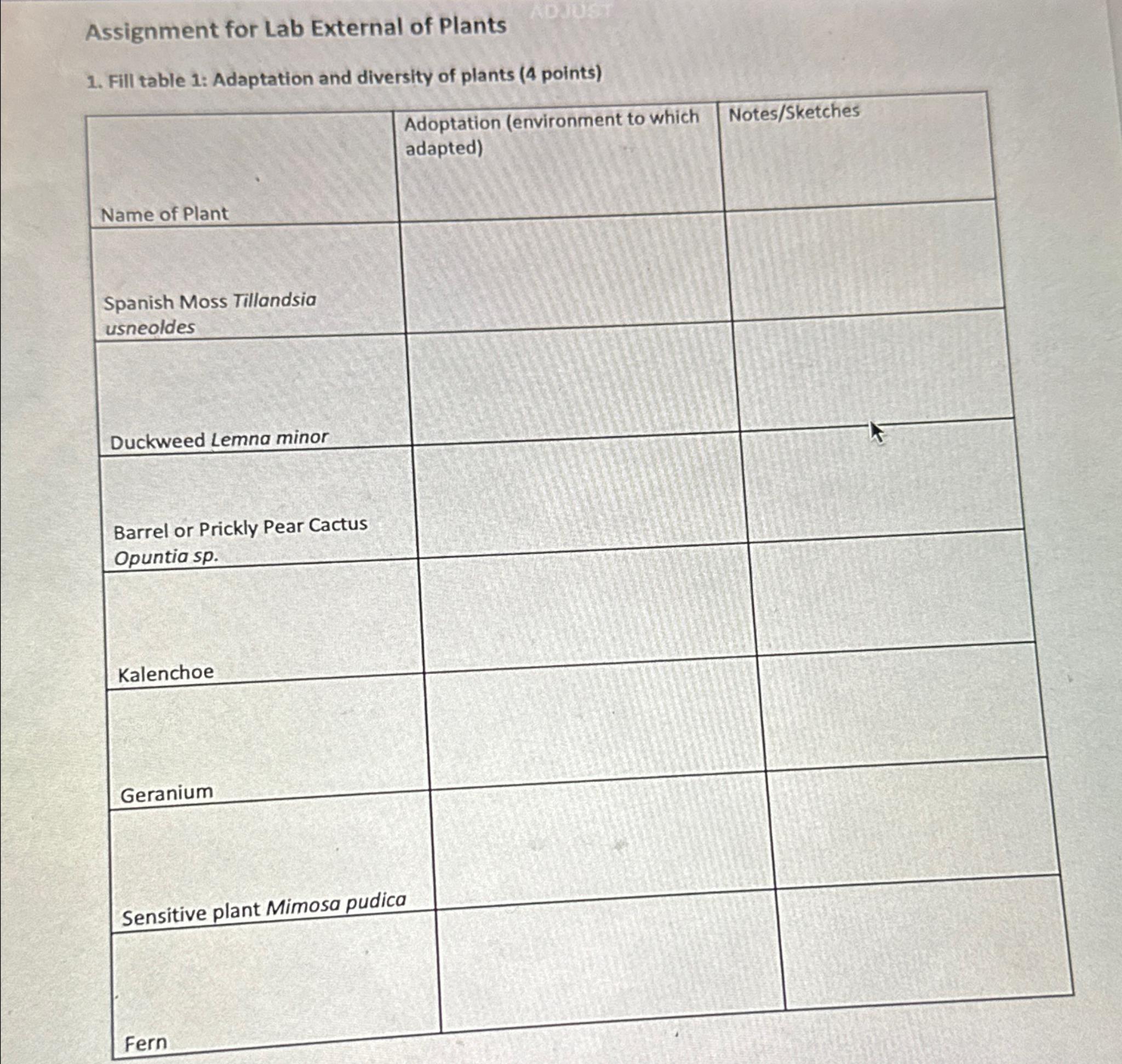 Solved Assignment for Lab External of PlantsFill table 1: | Chegg.com