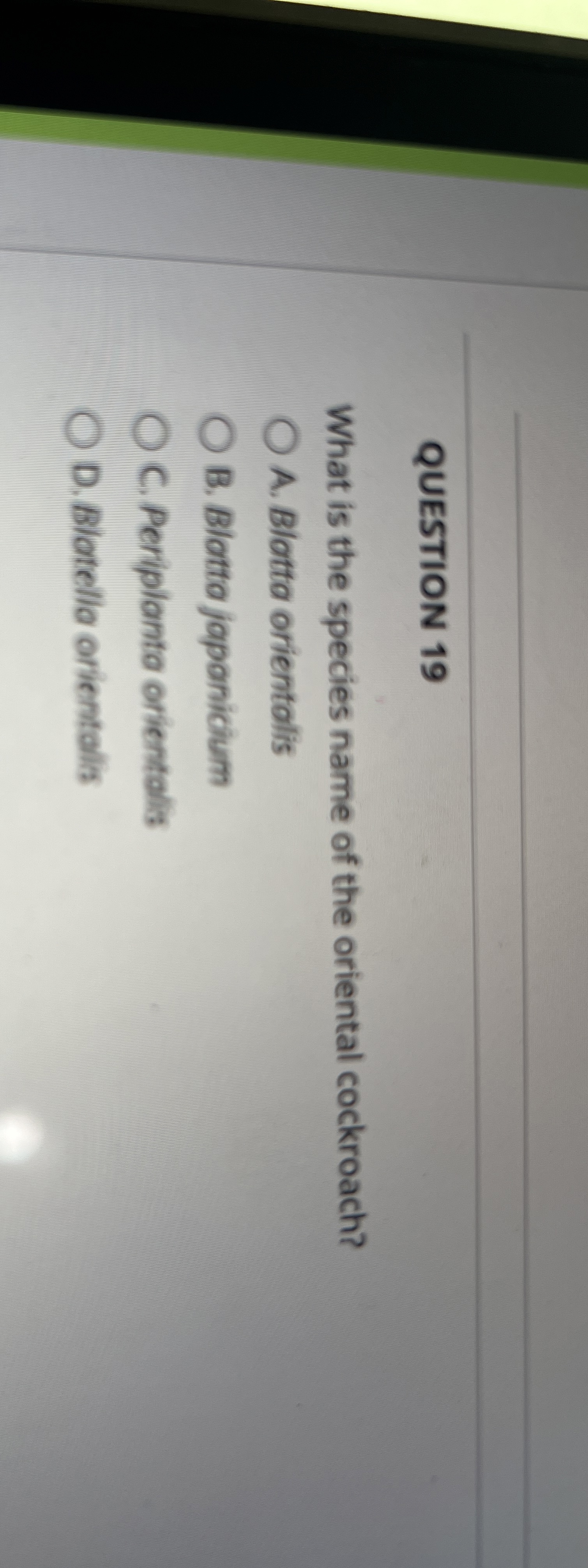 Solved QUESTION 19What is the species name of the oriental | Chegg.com