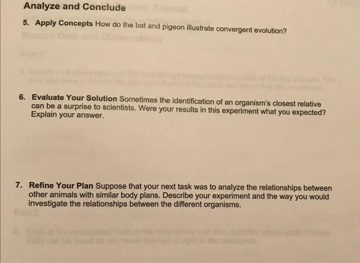 Solved Identifying Evolutionary Relationships What patterns | Chegg.com