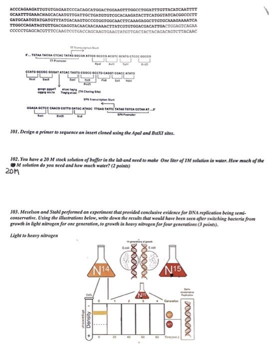 100. Part of the PIWII mRNA sequence is shown below | Chegg.com
