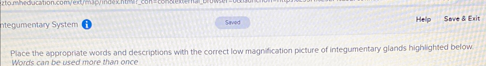 Place the appropriate words and descriptions with the | Chegg.com