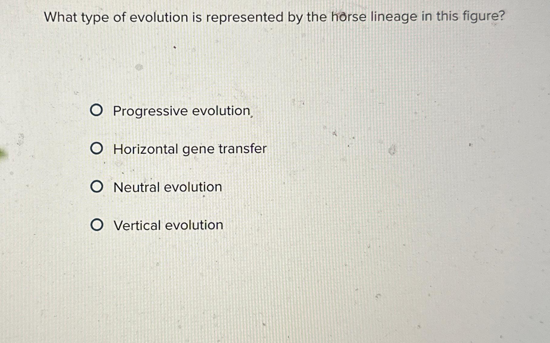 Solved What type of evolution is represented by the horse | Chegg.com