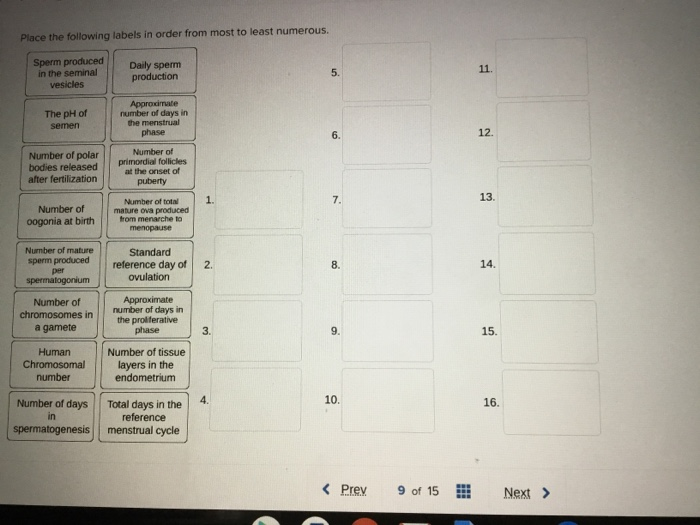 Solved Place the following labels in order from most to | Chegg.com