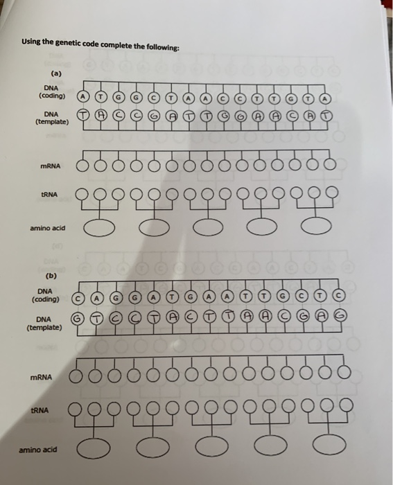 Solved Using the genetic code complete the following: (a) | Chegg.com