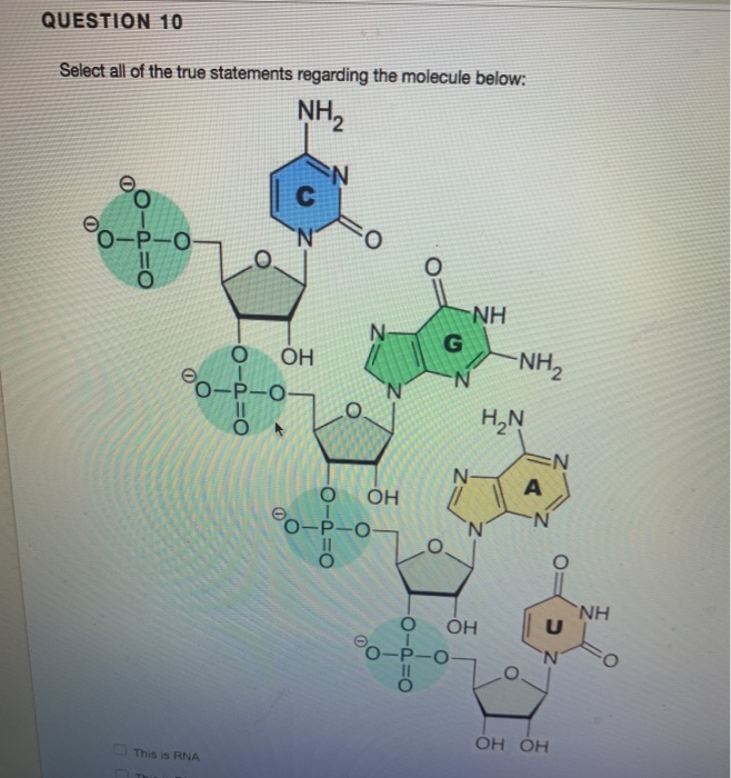 Solved QUESTION 10 Select all of the true statements | Chegg.com