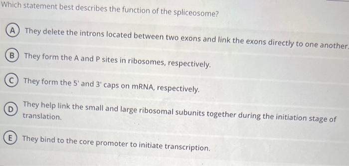 Solved Which statement best describes the function of the | Chegg.com