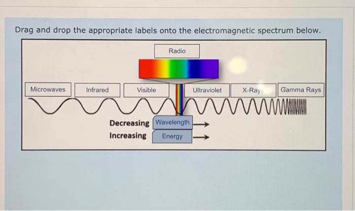 Drag and drop the appropriate labels onto the | Chegg.com